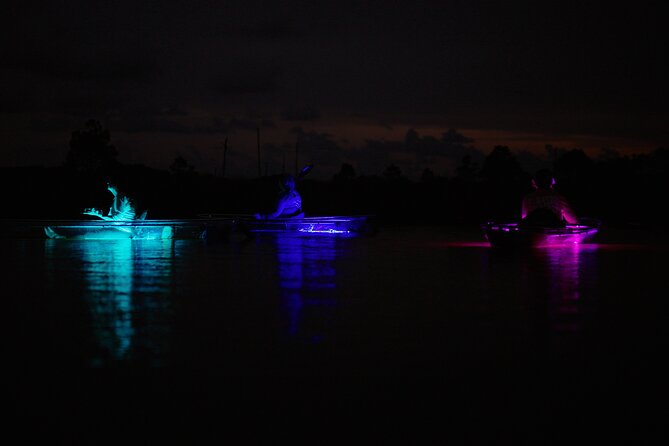 Clear Kayak Glow Tour Destin Ft. Walton Beach - The Night Sky and Peaceful Vibes