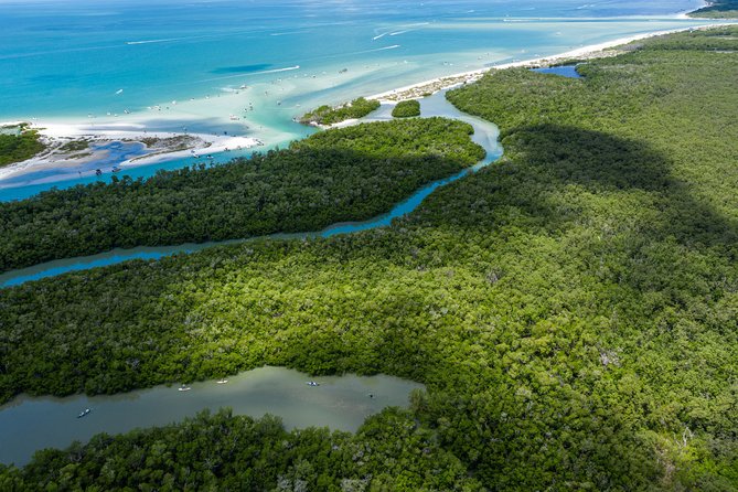 Clear Kayak Guided Eco Tour in North Naples - Key Points