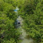 Clear Kayak Guided Eco Tour in North Naples - What Makes This Tour Special?