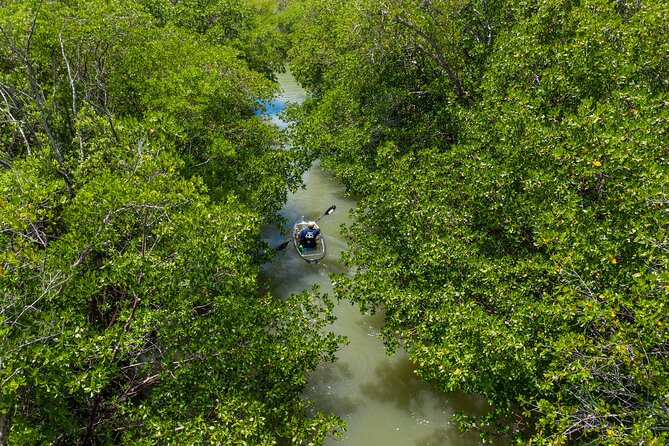 Clear Kayak Guided Eco Tour in North Naples - What Makes This Tour Special?