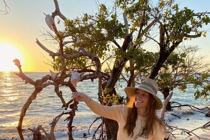 Clear Kayak Guided Eco Tour in North Naples - Pricing and Value