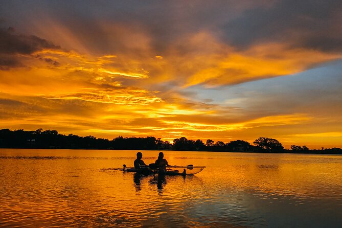 Clear Kayak Guided Kayak Tours in Titusville - An In-Depth Look at the Merritt Island Wildlife Experience