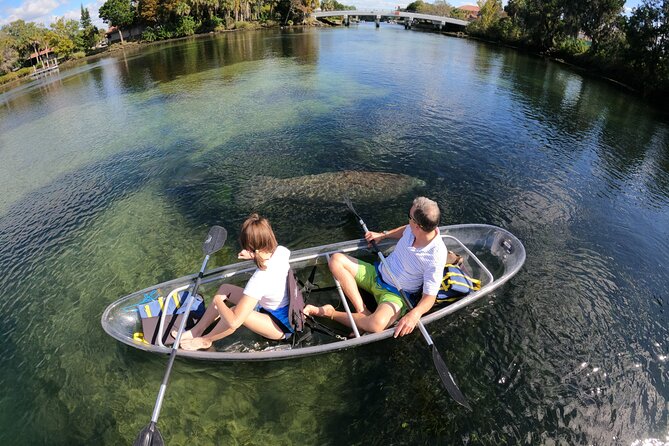 Clear Kayak Manatee Ecotour of Crystal River - Key Points