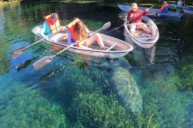 Clear Kayak Manatee Ecotour of Crystal River - What to Expect on the Tour