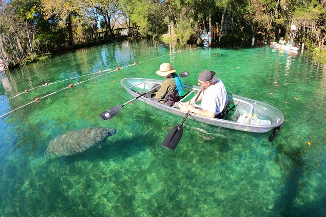 Clear Kayak Manatee Ecotour of Crystal River - Why This Tour Stands Out
