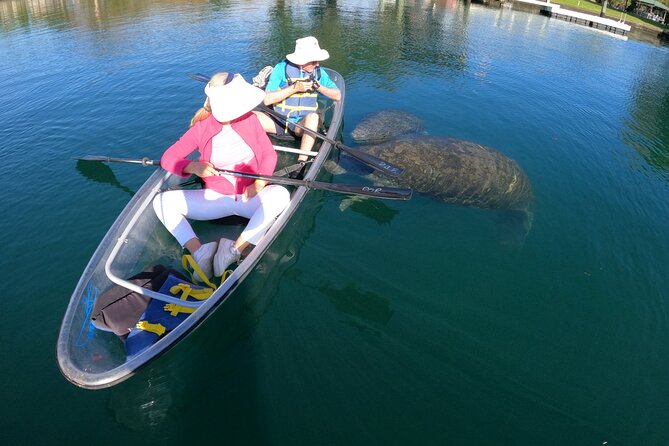 Clear Kayak Manatee Ecotour of Crystal River - Who Would Enjoy This Tour?