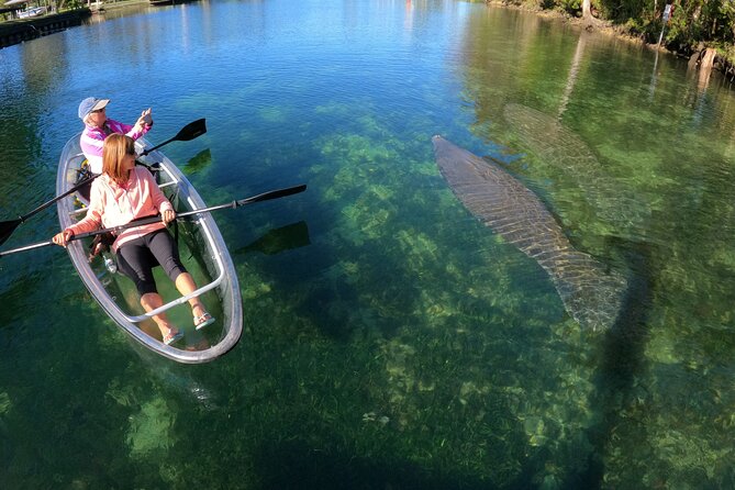 Clear Kayak Manatee Ecotour of Crystal River - FAQs