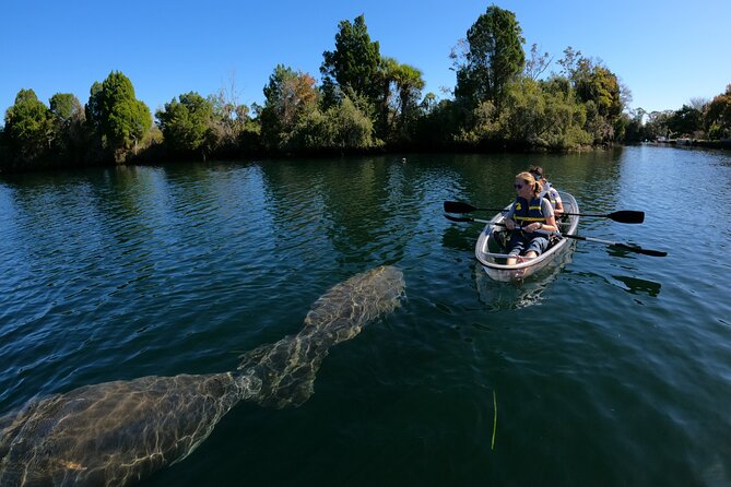 Clear Kayak Manatee Ecotour of Crystal River - Final Thoughts