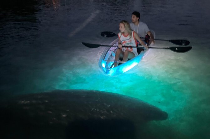 Clear Kayak Manatee Viewing Sunset and Glow Tour of Crystal River - Exploring the Tour in Depth