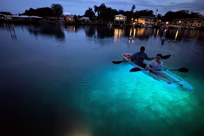 Clear Kayak Manatee Viewing Sunset and Glow Tour of Crystal River - Final Thoughts