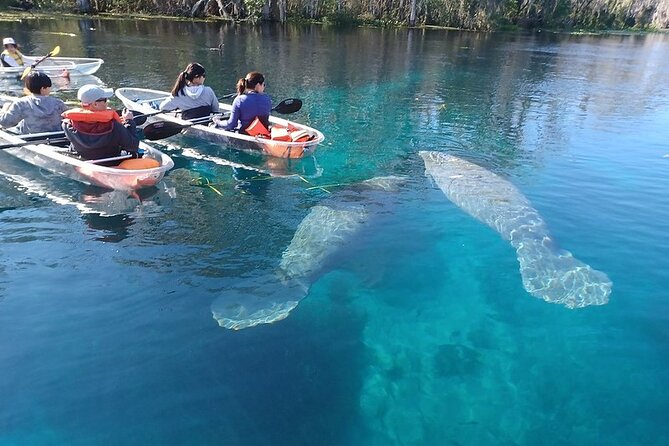 Clear Kayak or Paddleboard Manatee Adventure - What Makes the Equipment and Guides Special