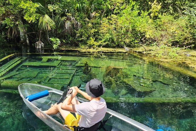 Clear Kayak or Paddleboard Manatee Adventure - The Real Deal From Reviewers