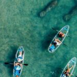 Clear Kayak Peanut Island Guided Tour Palm Beach Singer Island - Analyzing the Value