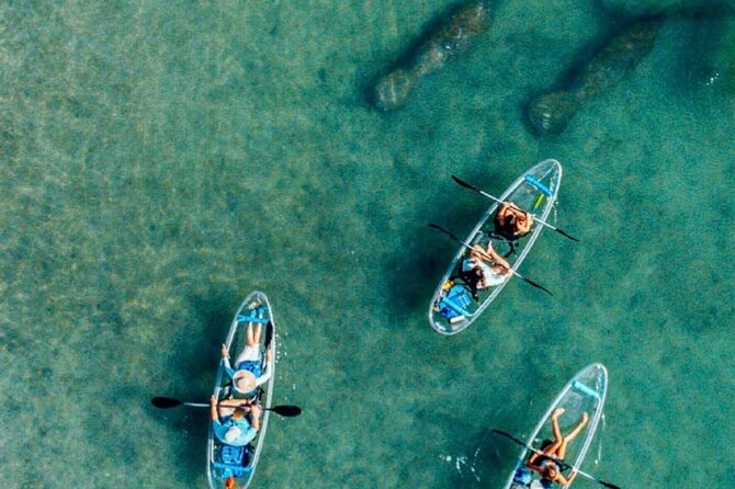 Clear Kayak Peanut Island Guided Tour Palm Beach Singer Island - Analyzing the Value