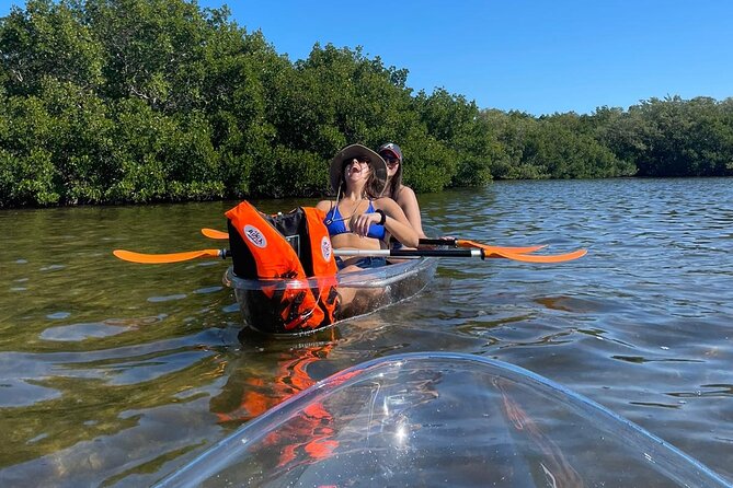 Clear Kayak Private Guided Day and Night Tours in Florida - The Experience Breakdown: Day and Night Tours in Sarasota