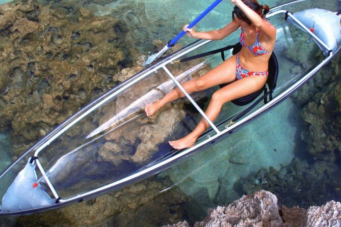 Clear Kayak Private Guided Day and Night Tours in Florida - Final thoughts: Who is this tour best suited for?