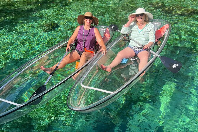 Clear Kayak Spring & Wildlife Tour Crystal River with Free Photos - An Engaging and Practical Overview of the Tour