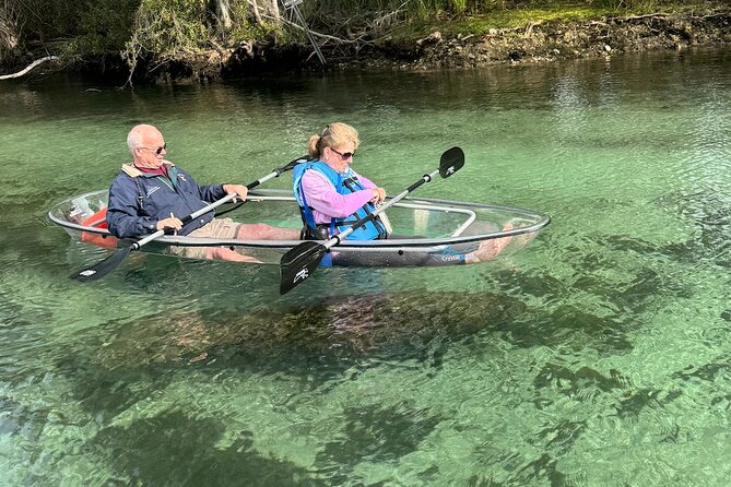 Clear Kayak Spring & Wildlife Tour Crystal River with Free Photos - What Travelers Are Saying