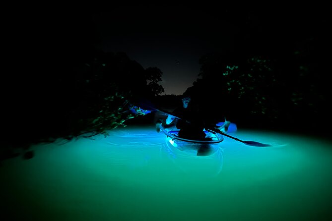 CLEAR Kayak Sunset & Light Tour - Bonita Springs / Ft Myers Beach - What Guests Say
