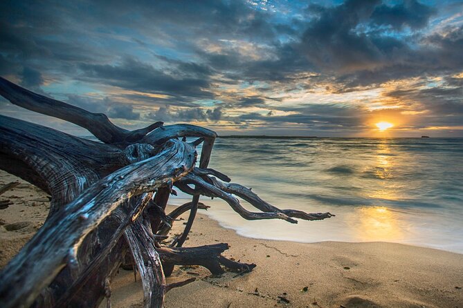 CLEAR Kayak Sunset & Light Tour - Bonita Springs / Ft Myers Beach - Who Will Love This Tour?