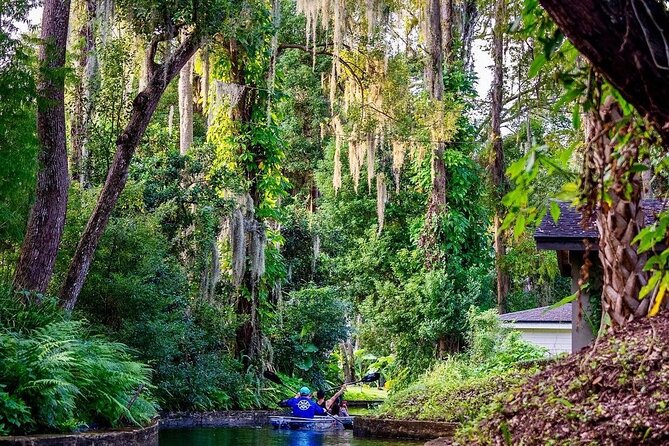 Clear Kayak Sunset Tour through The Winter Park Chain of Lakes - The Sum Up