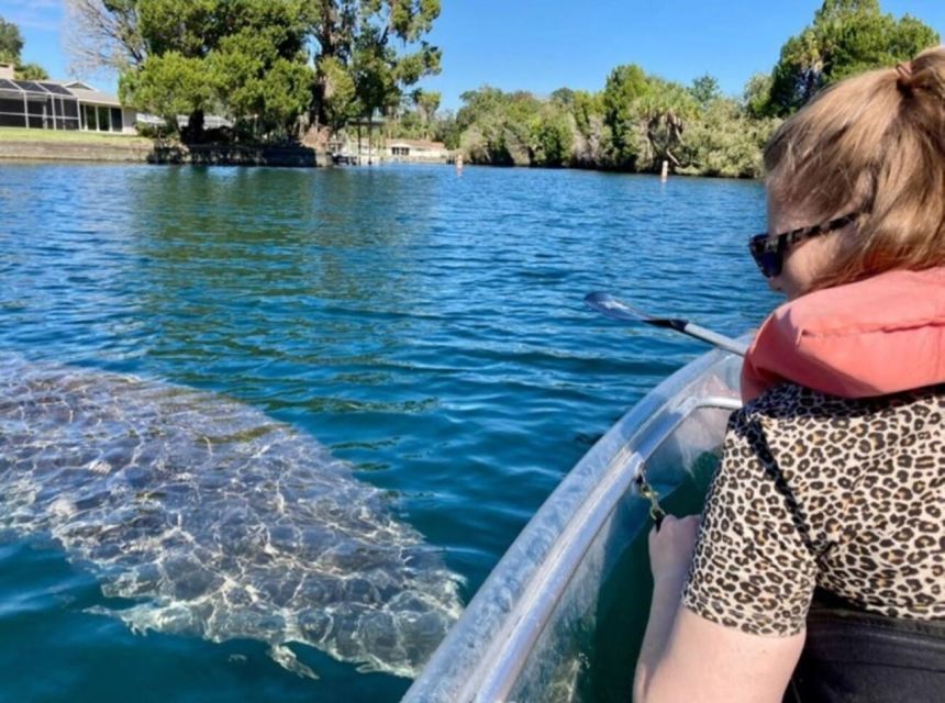 Clear Kayak Three Sisters Springs Ecotour of Crystal River - An In-Depth Look at the Experience