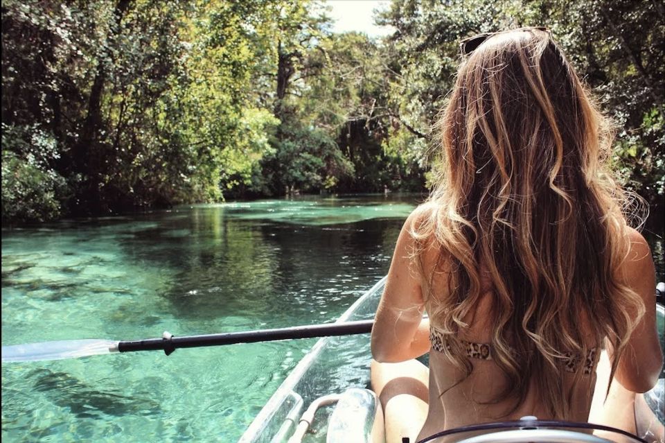Clear Kayak Three Sisters Springs Ecotour of Crystal River - Is It Worth the Price?