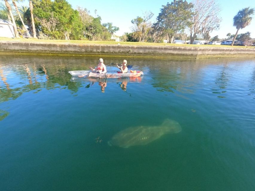 Clear Kayak Three Sisters Springs Ecotour of Crystal River - Final Thoughts