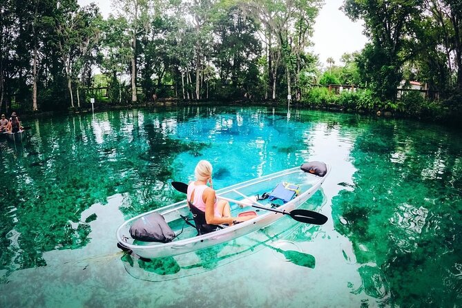 Clear Kayak Three Sisters Springs & Manatee Tour Of Crystal River - What to Expect on the Tour