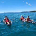Clear Kayak Tour - Exploring the Experience: What You Can Expect