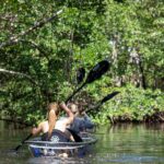 Clear Kayak Tour in North Miami Beach - Mangrove Tunnels - Practical Tips for Your Tour