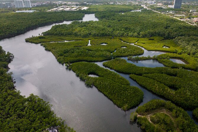 Clear Kayak Tour in North Miami Beach - Mangrove Tunnels - Who Should Do This Tour?