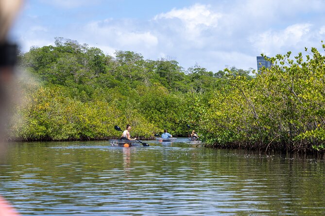 Clear Kayak Tour in North Miami Beach - Mangrove Tunnels - Final Thoughts