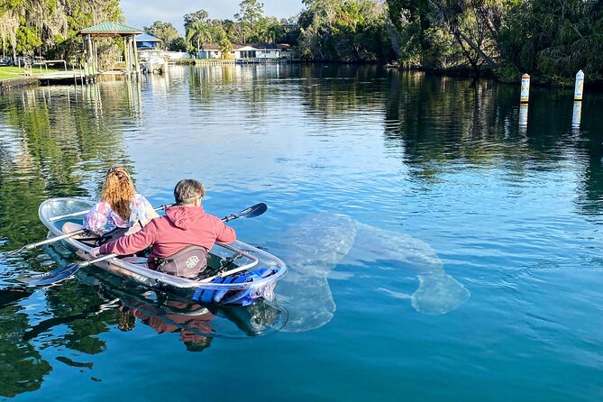 Clear Kayak Tour of Crystal River - An In-Depth Look at the Tour Experience