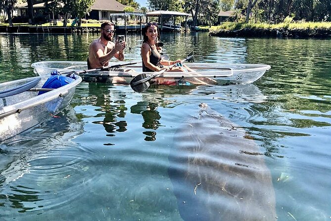 Clear Kayak Tour of Crystal River - FAQ