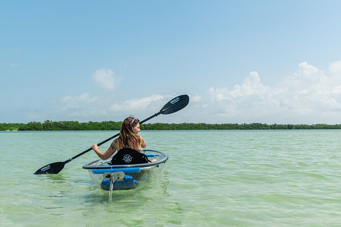 Clear Kayak Tour of Shell Key Preserve and Tampa Bay Area - An Honest Look at the Experience