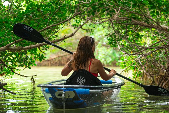 Clear Kayak Tour of Shell Key Preserve and Tampa Bay Area - The Sum Up