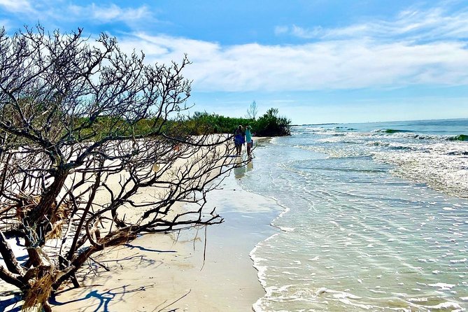 Clear Kayak Tour of Shell Key Preserve and Tampa Bay Area - FAQ