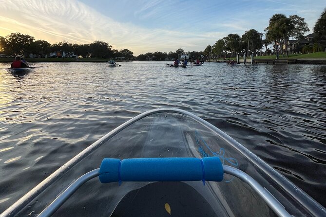 Clear Kayak Tour of Tarpon Springs | Manatee Season - Our Take on the Clear Kayak Tour of Tarpon Springs | Manatee Season