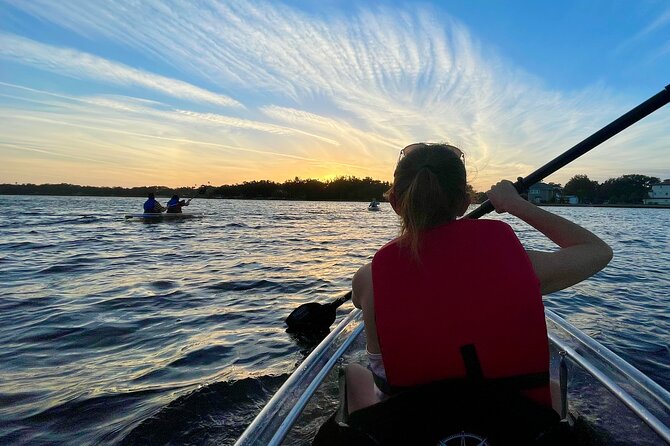 Clear Kayak Tour of Tarpon Springs | Manatee Season - A Closer Look at the Experience