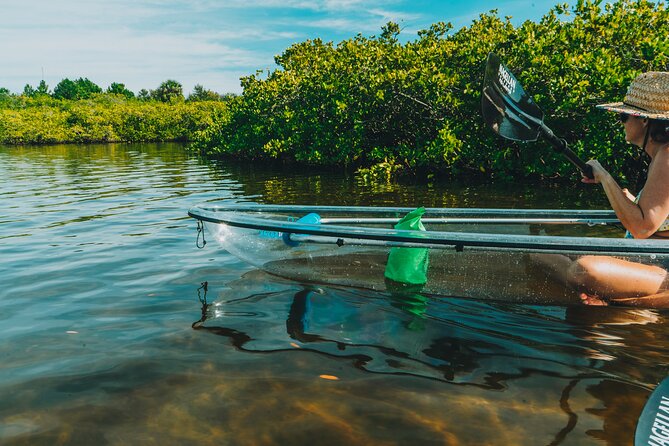Clear Kayak Tour of Tarpon Springs | Manatee Season - Who Would Love This Tour?