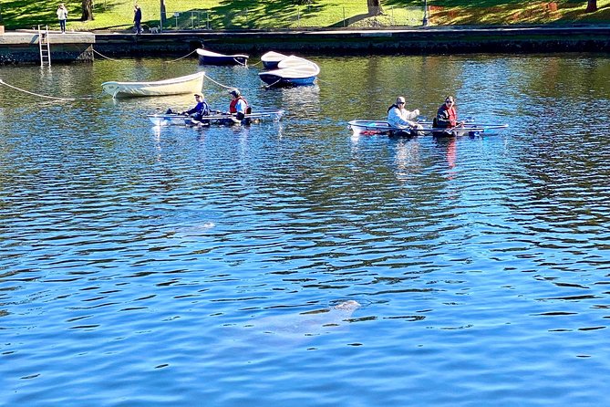Clear Kayak Tour of Tarpon Springs | Manatee Season - Final Thoughts