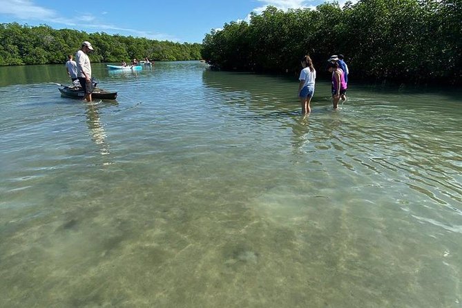 Clear Kayak Tours in Fort Pierce - The Practicalities: What You Need to Know