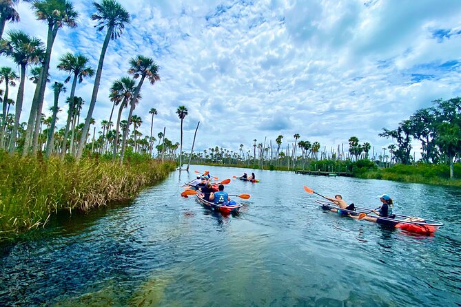 Clear Kayak Tours in Weeki Wachee - An In-Depth Look at the Tour Experience