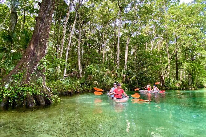 Clear Kayak Tours in Weeki Wachee - Authentic Experiences from Reviewers: What Makes It Special