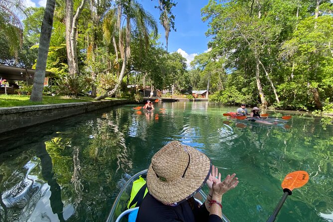 Clear Kayak Tours in Weeki Wachee - Who Will Love This Tour?