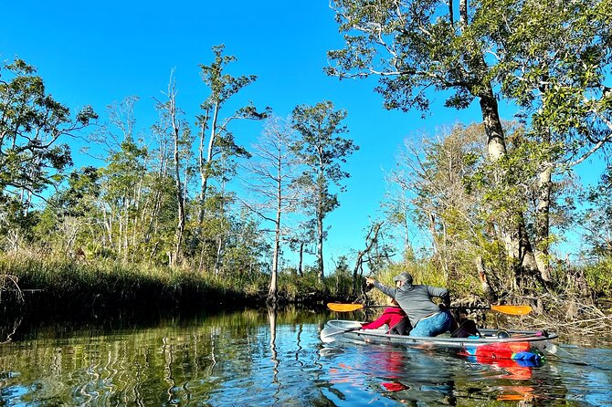 Clear Kayak Tours in Weeki Wachee - The Sum Up: Is It Worth It?