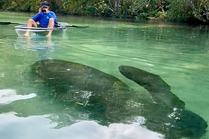 Clear Kayak Tours in Weeki Wachee - FAQ