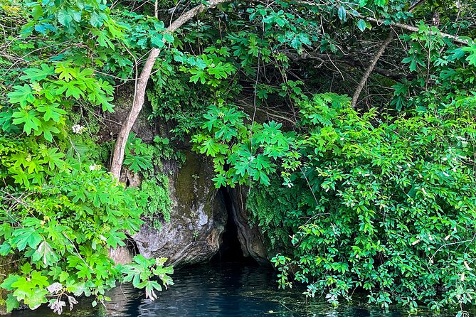 Clear Kayaking Eco Adventure Tour in Marianna - An In-Depth Look at the Experience