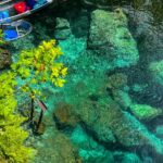 Clear Kayaking Eco Adventure Tour in Marianna - Who Would Love This Tour?